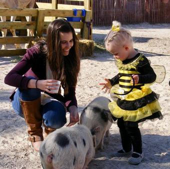 Utah Honey Harvest Festival