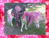 Pretty Pony Parties Houston Tx