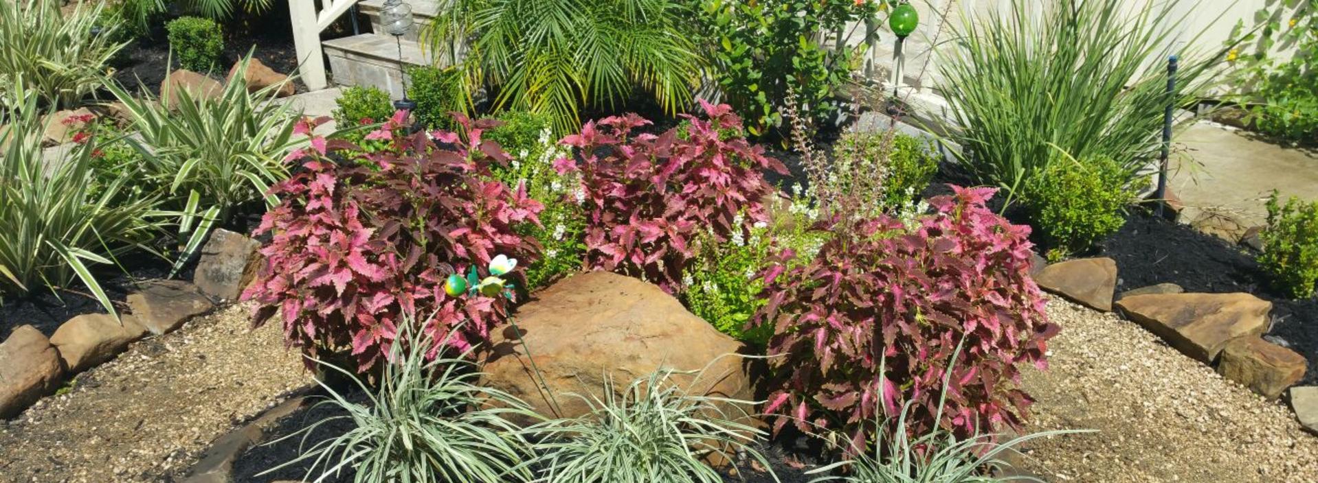 Home [www.brandonlandscapeservices.com]