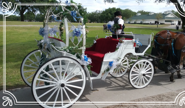 Home [www.avalonwestcarriages.com]