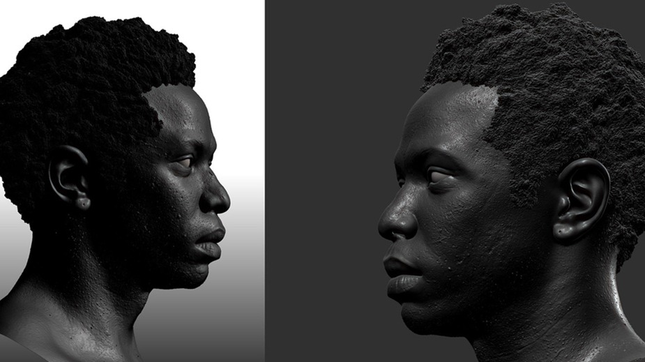 The Last of Us Mknowland