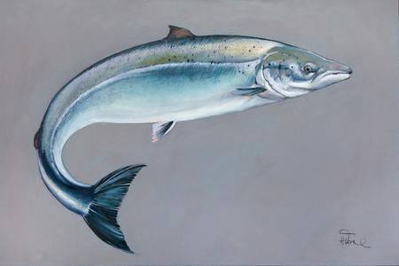 Home [www.hazelferrie.co.uk]