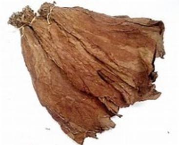 Fronto Leaf | Leaf 2 Smoke