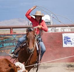 Home [thecowboylife.com]