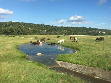 Whiskey Canyon Ranch