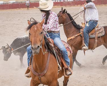 Home [thecowboylife.com]