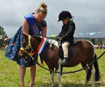 Home [www.nimmitabelshow.com.au]