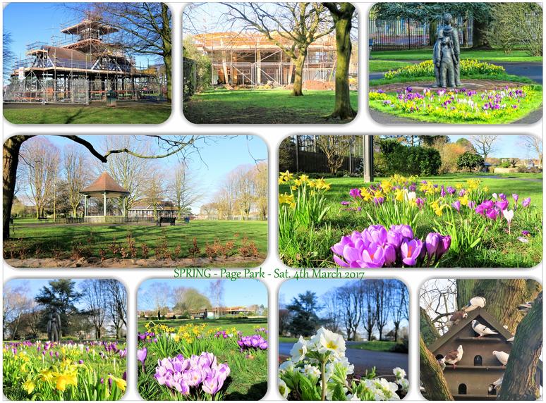 Home [www.friendsofpagepark.co.uk]