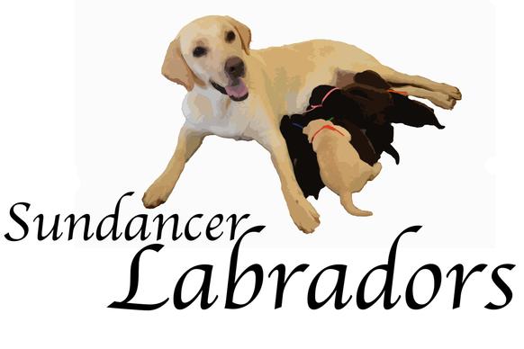 Home [www.sundancerlabs.com]