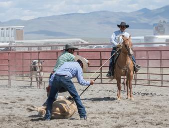 Home [www.thecowboylife.com]