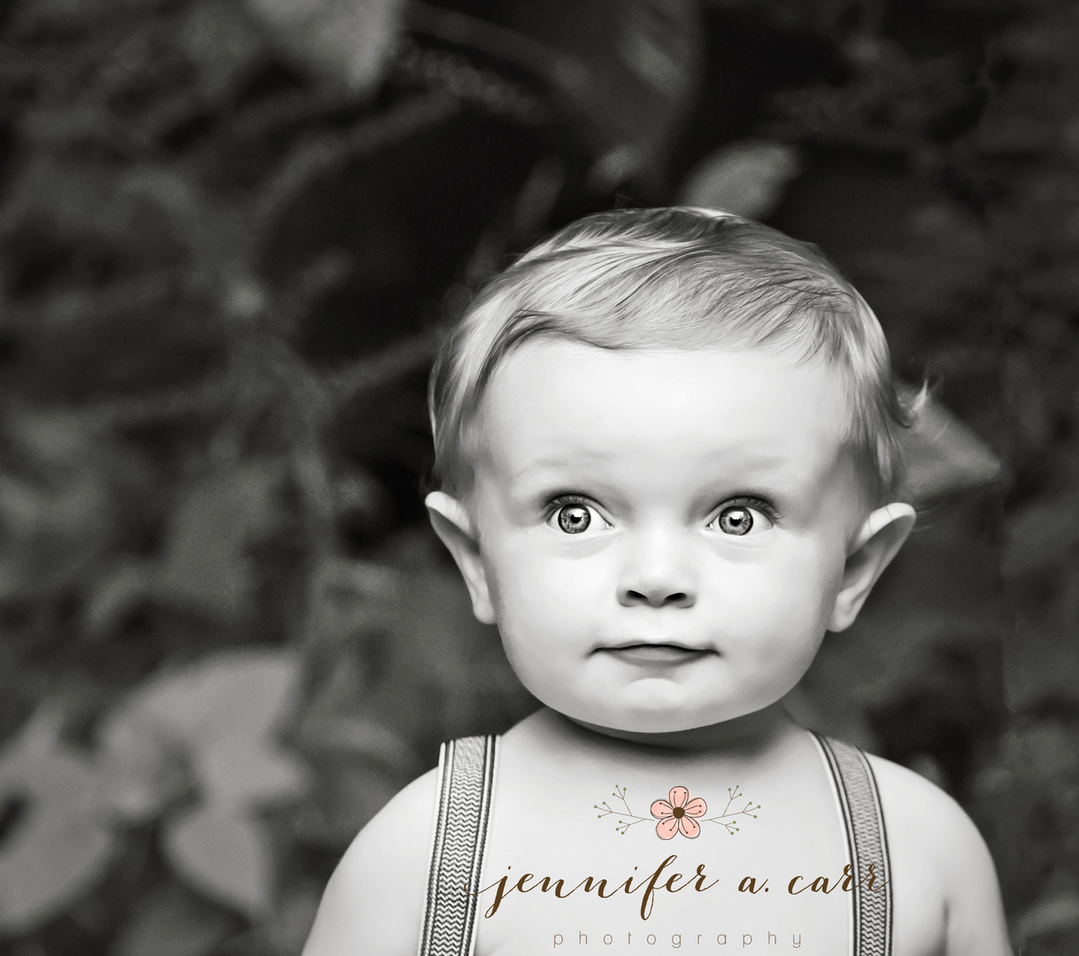 Home [www.jenniferacarrphotography.com]