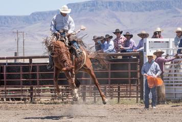 Home [www.thecowboylife.com]