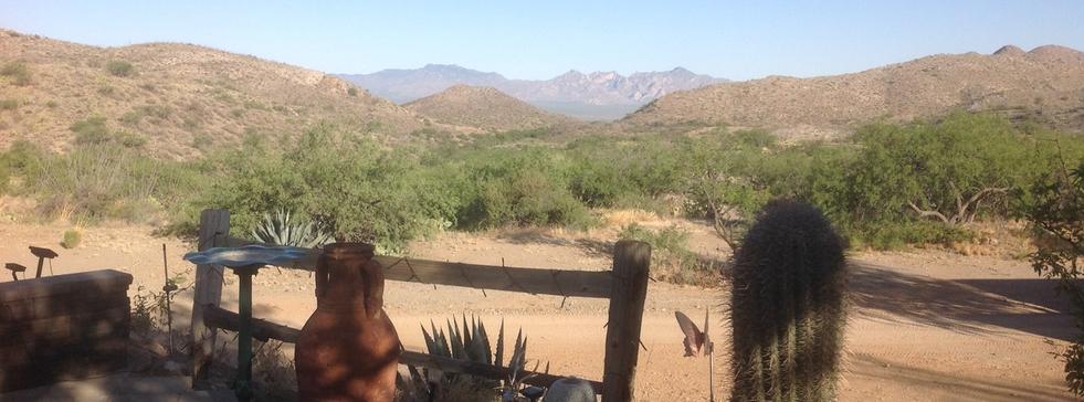 Home [caballolocoranch.com]