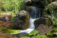 Stephen Finlan - Gospel of Jesus, Sermons, In Spirit and in Truth