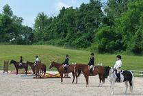 Lehigh Riding Club Home. Local hunter/jumper & dressage shows.