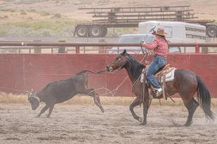 Home [thecowboylife.com]