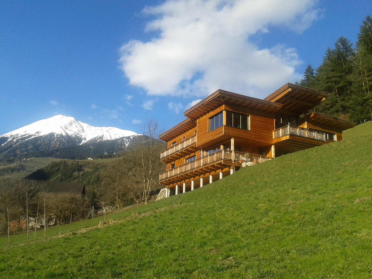 Home [www.helli.com]