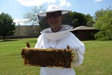 Products of the Hive