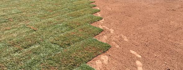 Red Desert Sod in St. George, Utah