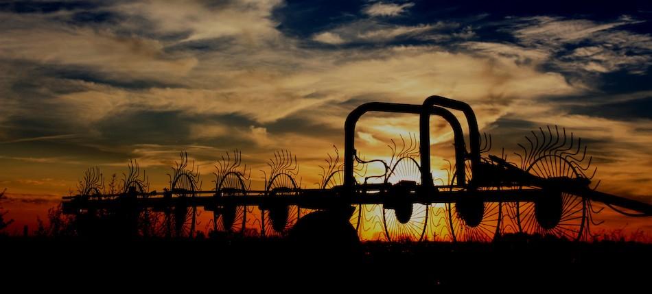 RM of Grayson No. 184