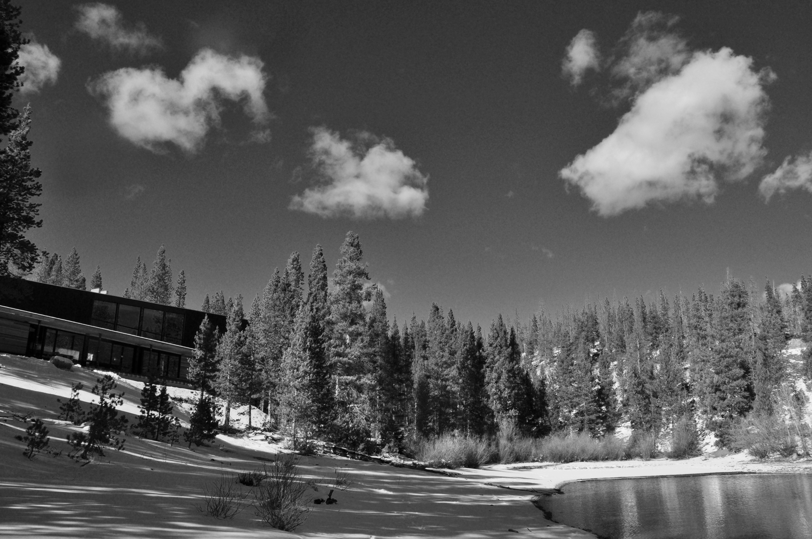 Home [alandodson.com]