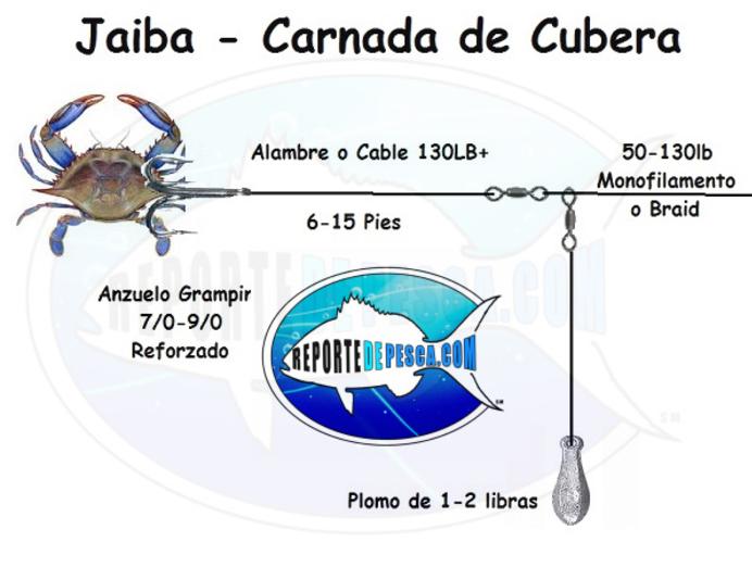 Tecnica para pescar Cubera Snapper