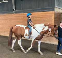 Boarding at Black Ridge Farm