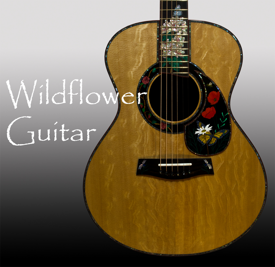 Harvey Leach inlays - Custom Inlays, Musical Instrument