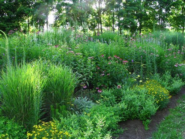 Ecological Landscape Design