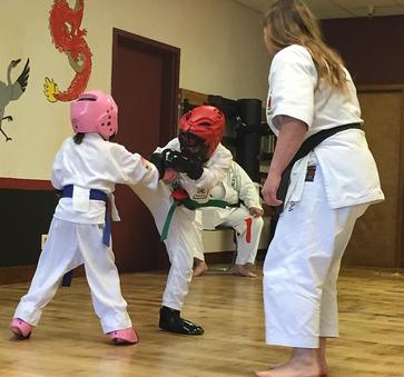 Home [www.dragonartskarate.us]