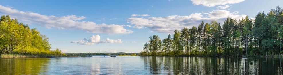 Home | Shirley Creek Marina | Etoile, TX