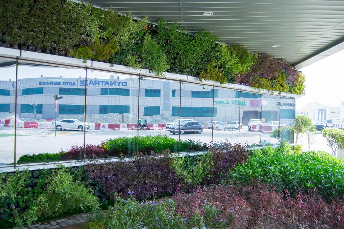 Dreams Garden - Green Wall, High Quality Green Wall, Indoor Green Wall