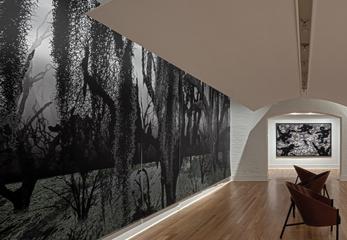 Studio DeDeaux New Orleans Artist Dawn DeDeaux - Multimedia Arts, Art