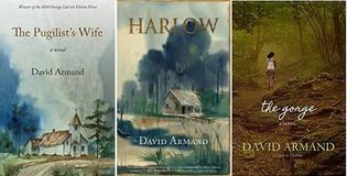 Home [www.davidarmandauthor.com]