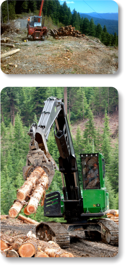 Hadaller Logging | Home