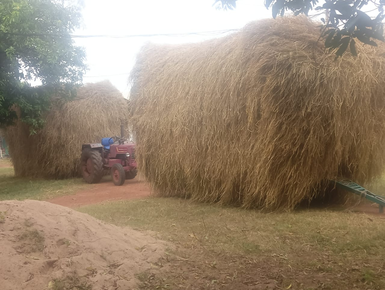 2025 New Year's Message