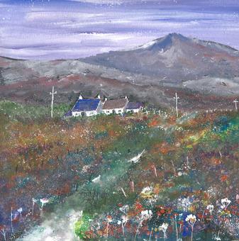 Home [www.lynnlewis.org]