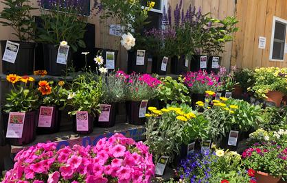 Home [www.jillybeansfarmstand.com]