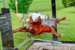 HOME [www.chubsbluepigbbq.com]