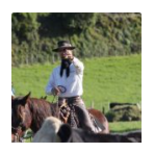 Napa Valley Horsemen's Association - Association, Horse Club, Organisation