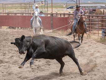 Home [thecowboylife.com]