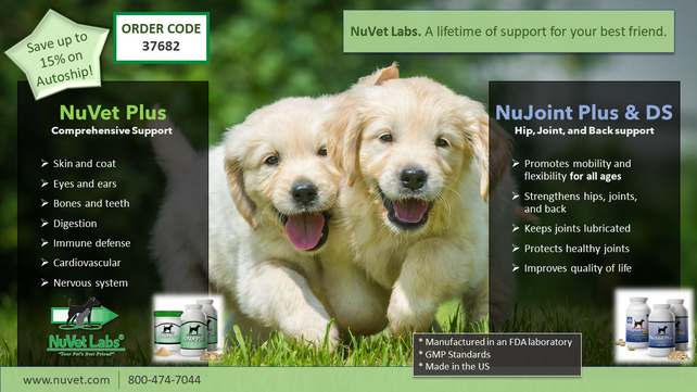 Home [www.furhavenk9s.com]