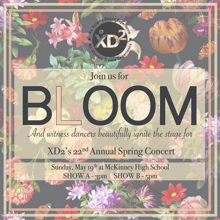 Home [www.xd2dance.com]