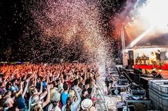 Home [www.suziquatro.com]