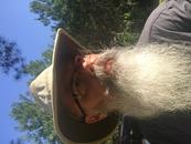 Wings Over Water Wildlife Festival - Wildlife Tours, Nature Education