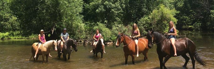 Blackstone Stables - Horse Camp, Horseback Riding, Horse Training