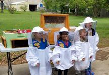 Products of the Hive