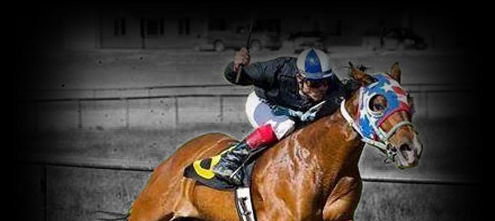 Home [www.chippewadowns.org]