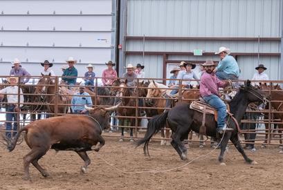 Home [www.thecowboylife.com]