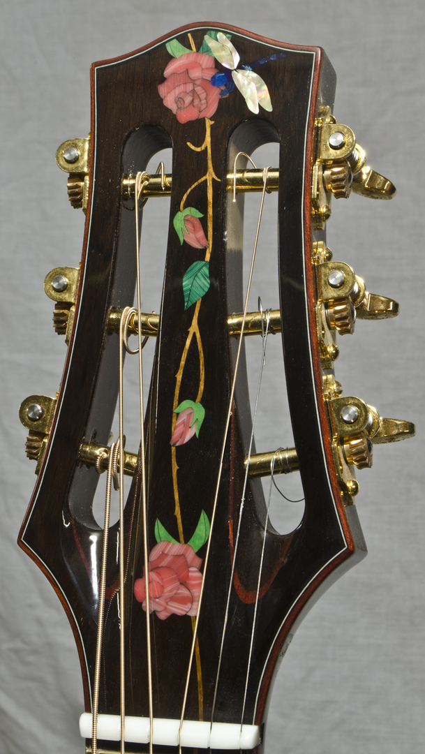 Harvey Leach inlays - Custom Inlays, Musical Instrument